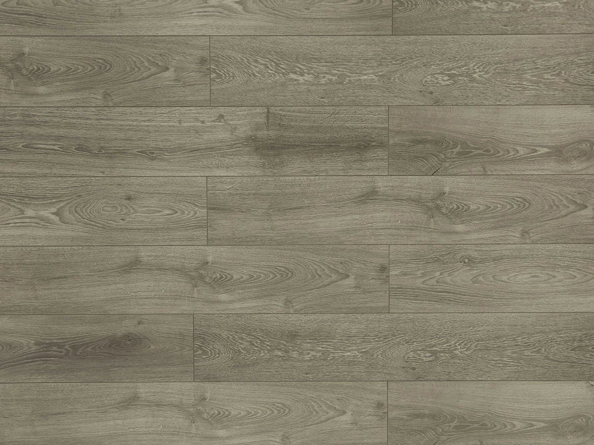 TF6021-F | Athens – Toucan