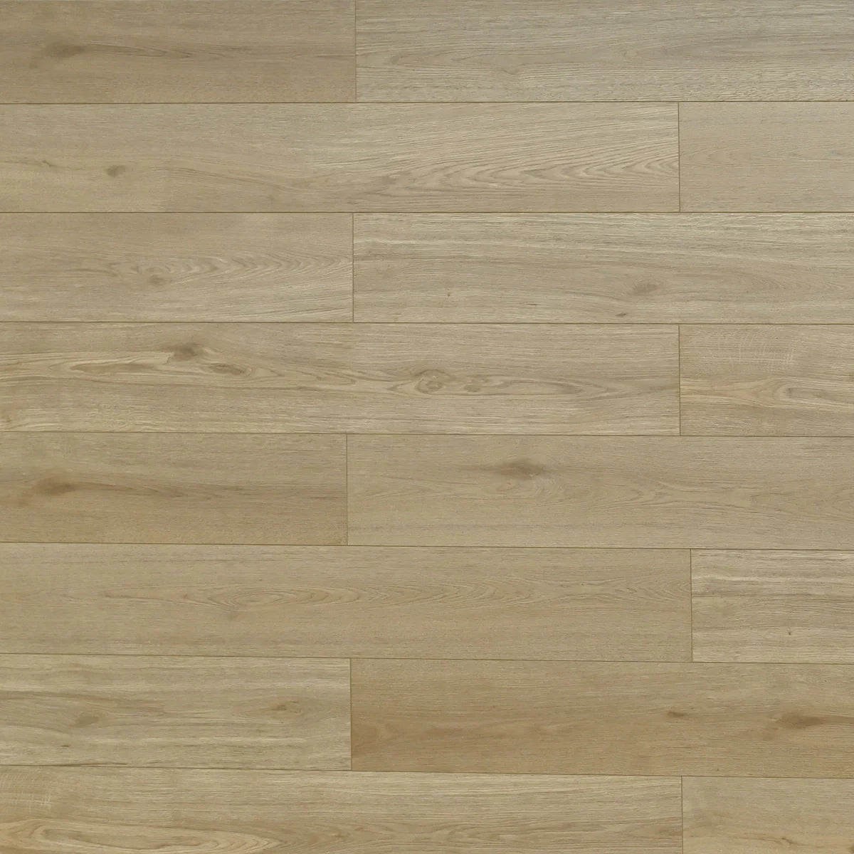 TF6612-F | Melrose – Toucan