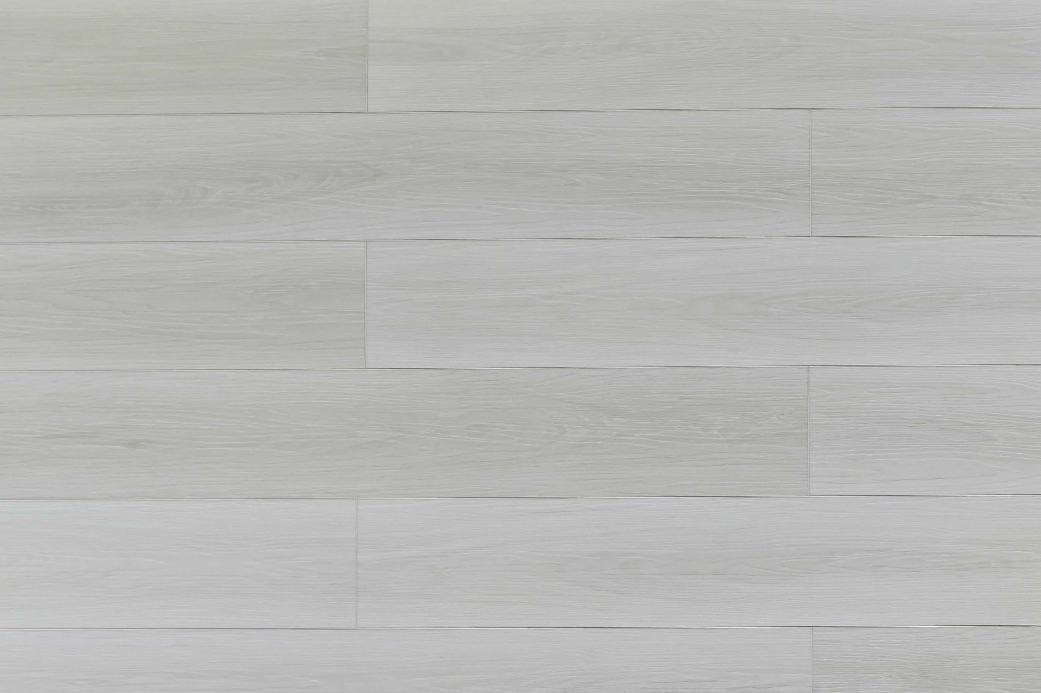 TFSPC265-F | Cornsilk – Toucan