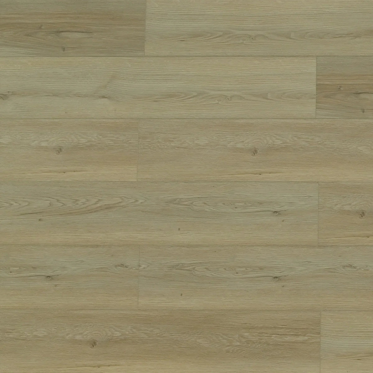 TFSPC609-F | Madrid – Toucan